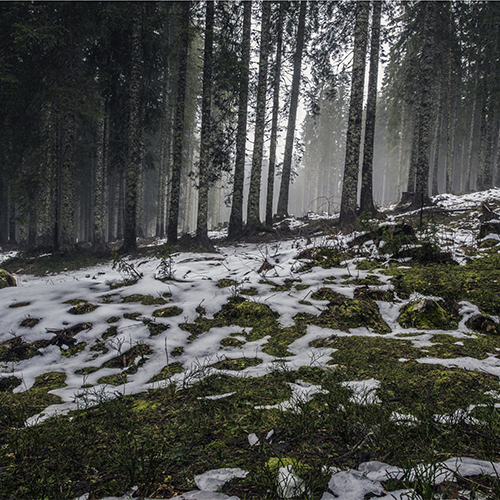A Sweet & Spirited Tale of the Outdoors | CAKE&WHISKEY Magazine